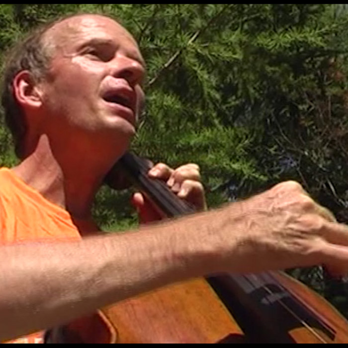 Cicadas' Land | Pierre Michaud