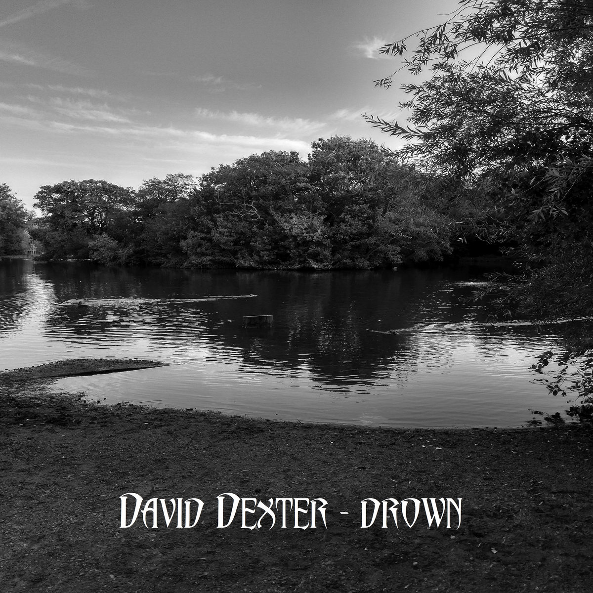 Drown | David Dexter