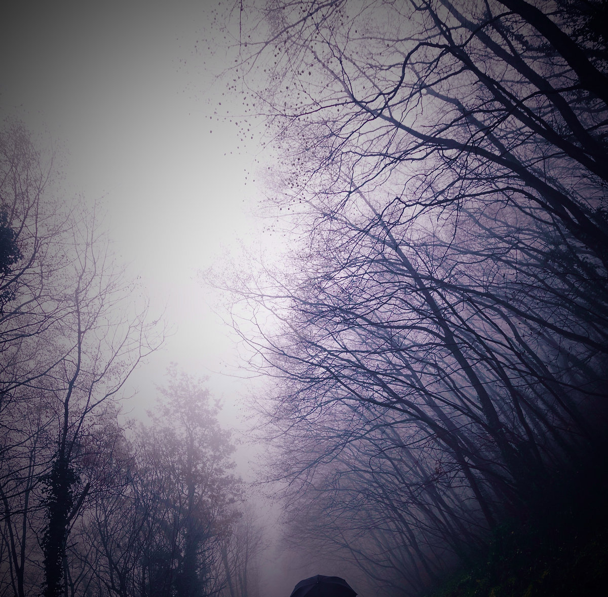 FKBae (ft. Freelanxe) | Jung Freud/(AlphaWaveOne38)