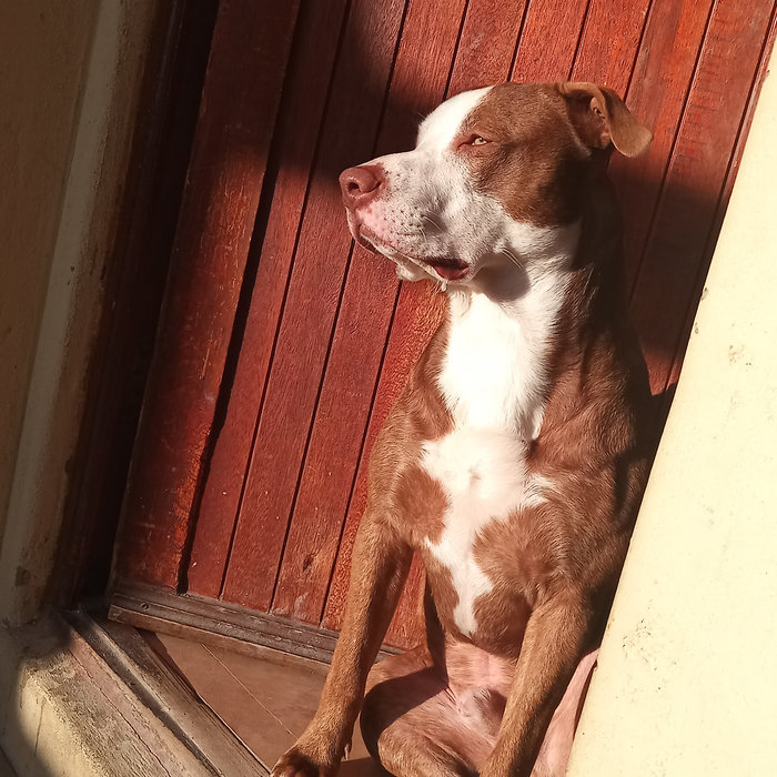 March set hiphop mix - DJ ICE FT DJ JC ATL | DJ ICE & DJ JC ATL | DJ JC ATL