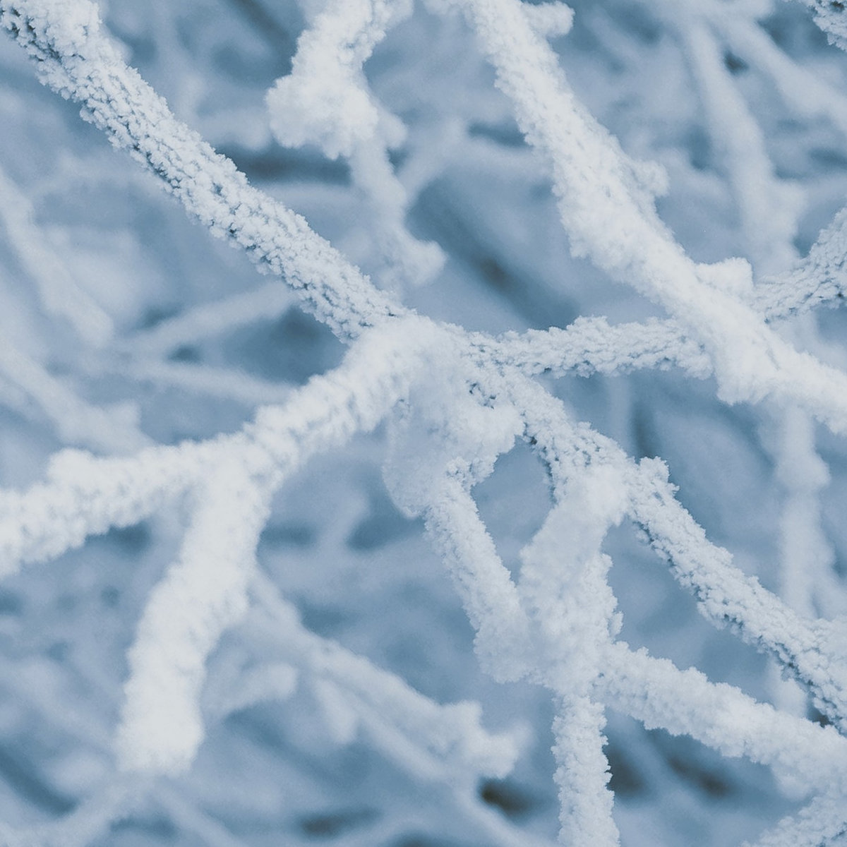 hoarfrost | V.A. | loser4dim