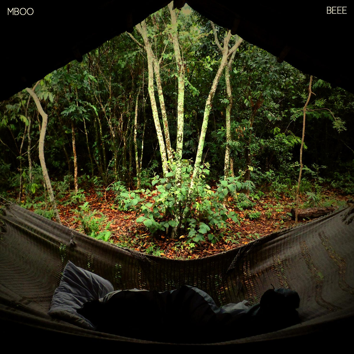 MBOO | ignatz beee | ignatz b