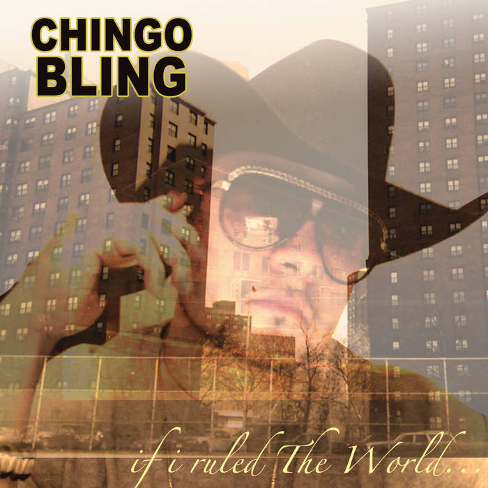 Chingo Bling Jordans