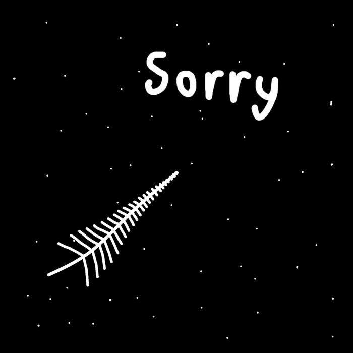 sorry | fin