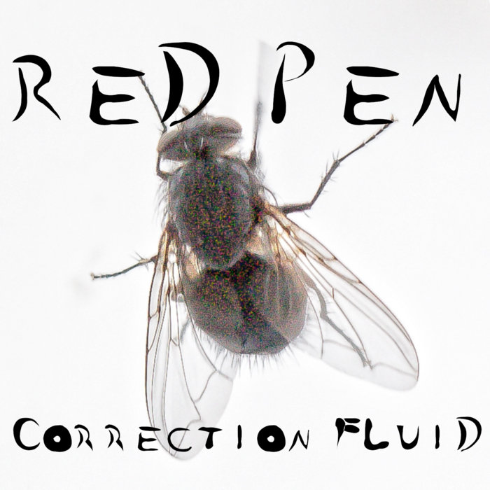 Correction Fluid | Red Pen