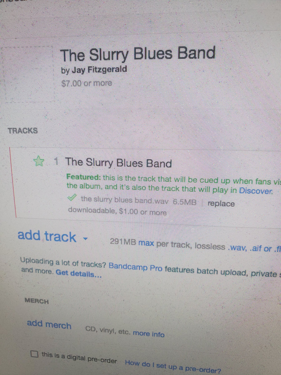 The Slurry Blues Band | Jay Fitzgerald