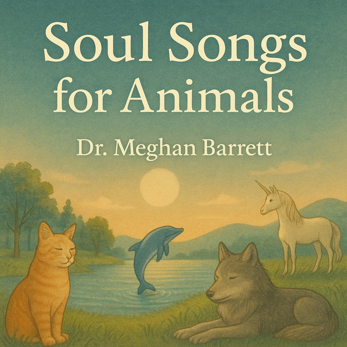Soul Songs for Animals | Dr. Meghan Barrett
