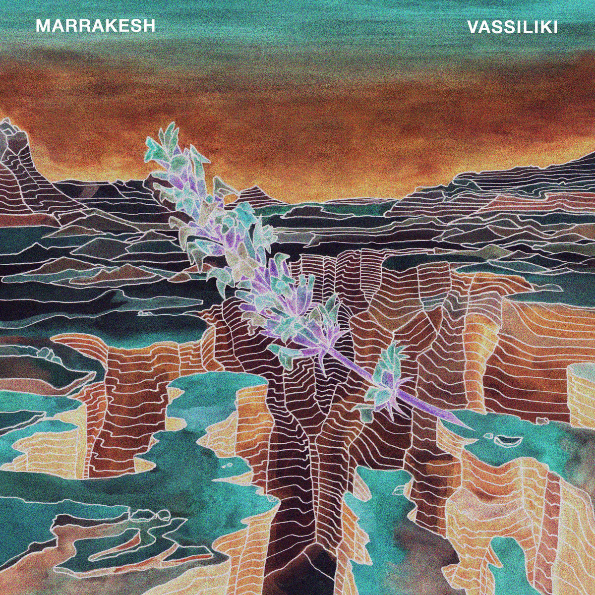 Vassiliki | Marrakesh ʘ