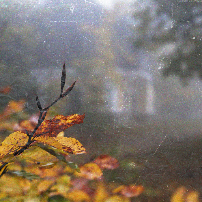 It Was Only an Autumn Tale | Kayou.