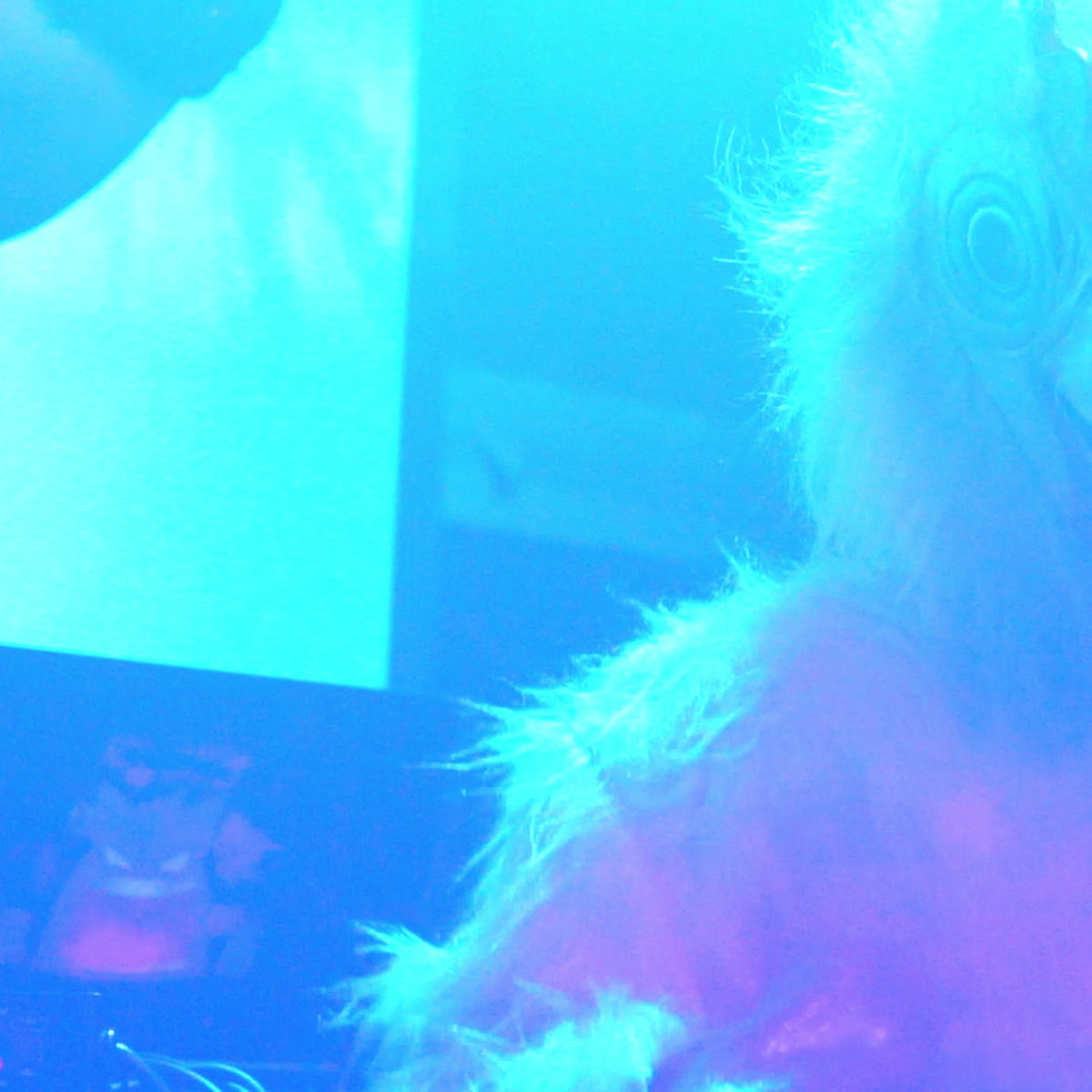 Live! @ Subculture 2021 | PSY Sound