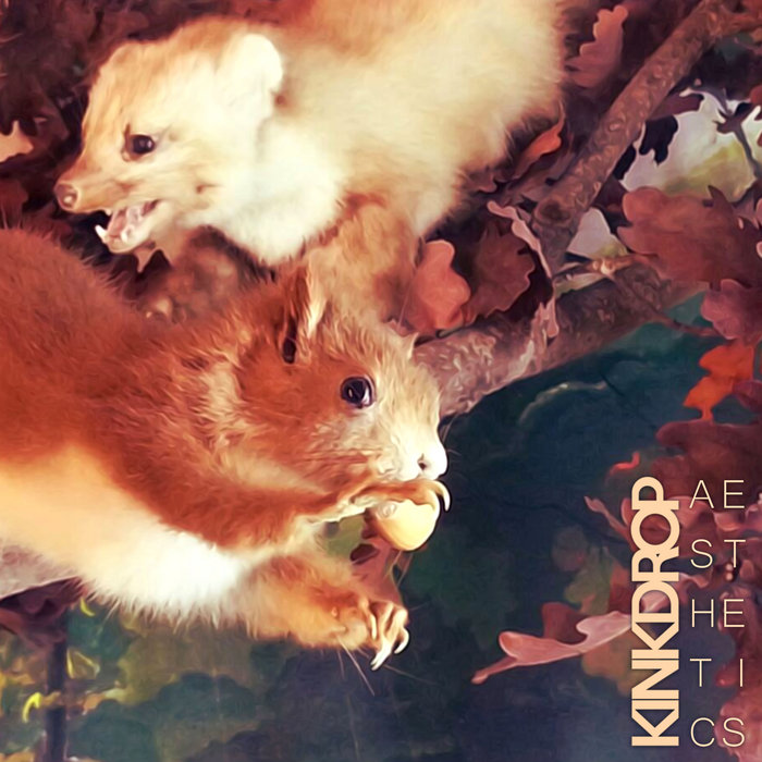 Aesthetics | Kink Drop | HEETSEAS RECORDS