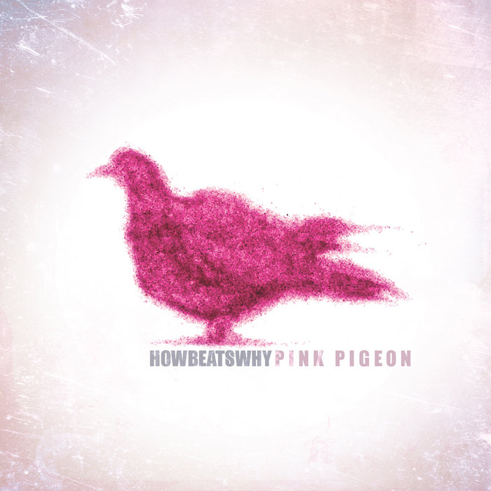 Piano, Pigeon | HOW BEATS WHY