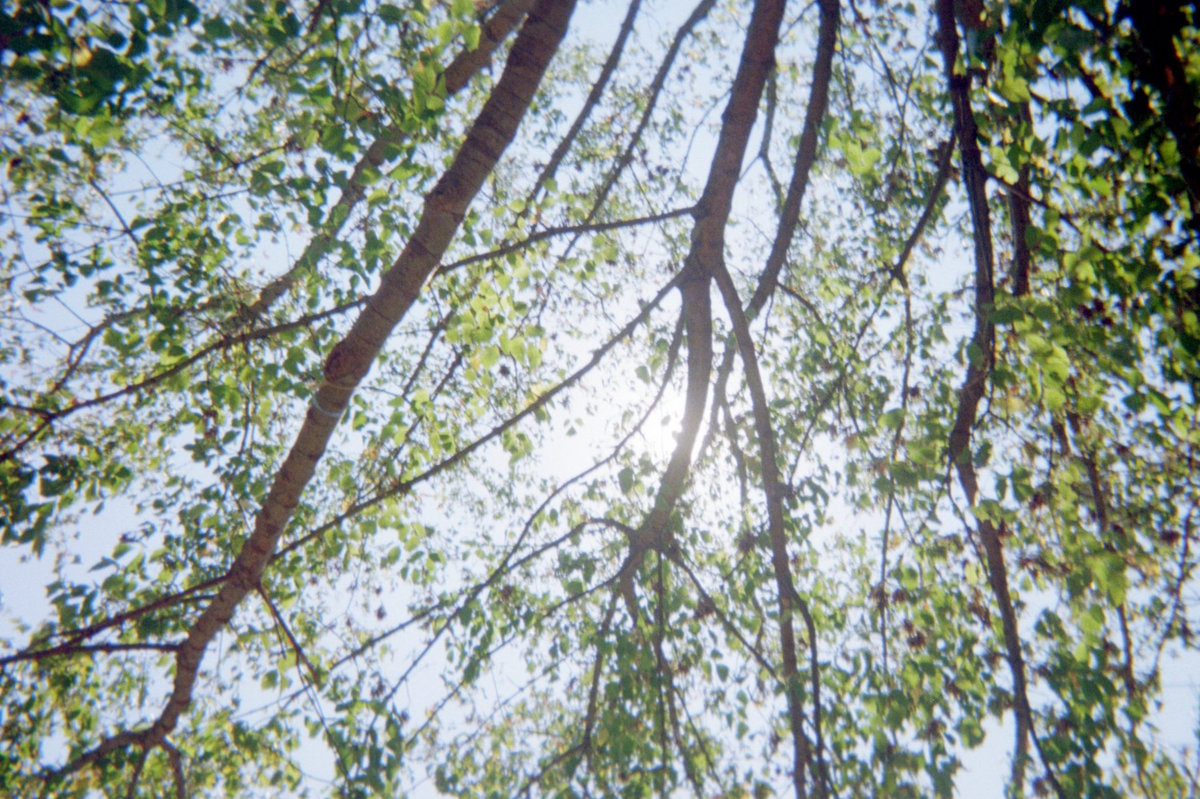 Some Songs About Nothing | Johnny Santini