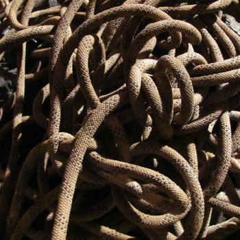 Music | Daniel Padden