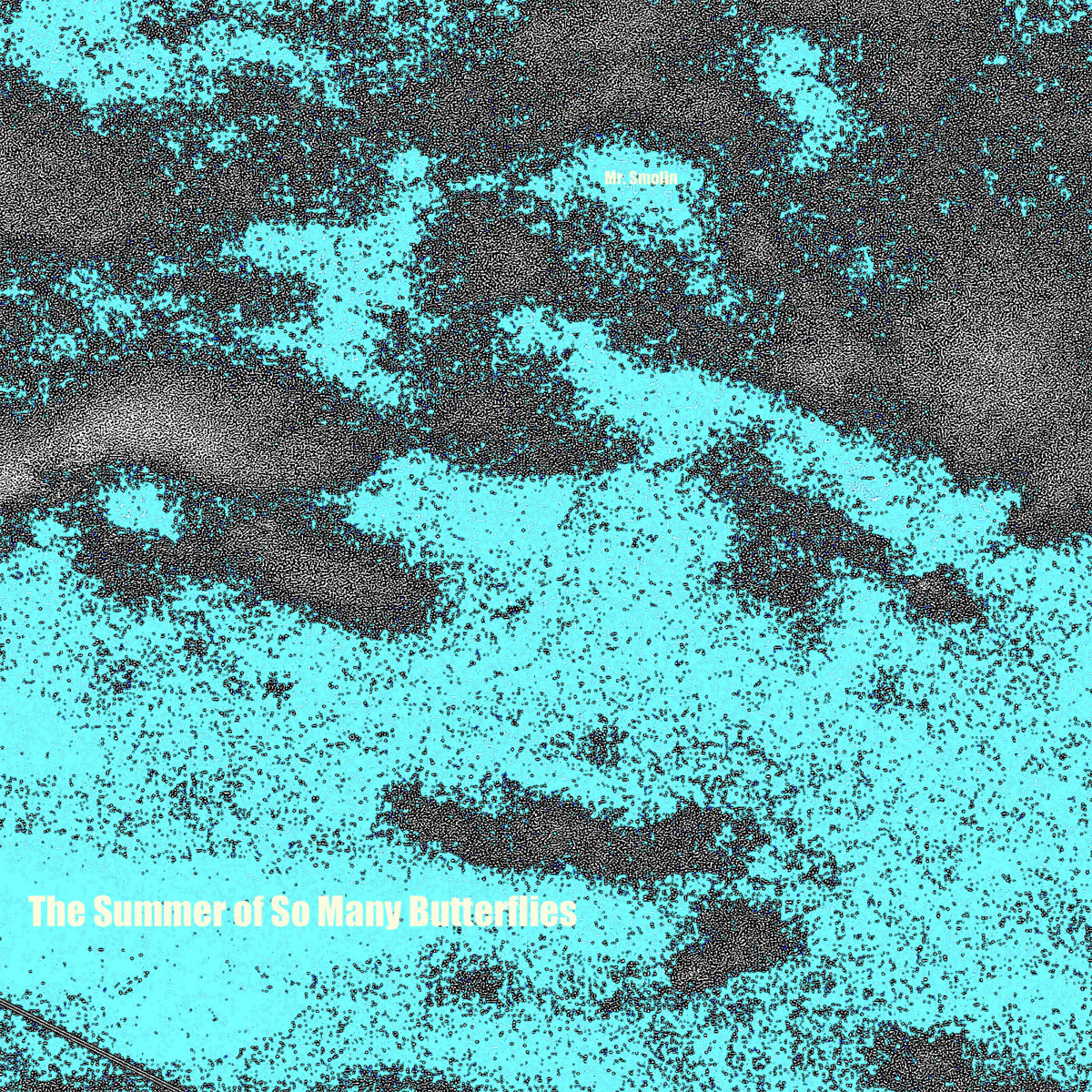 The Summer of So Many Butterflies | Mr. Smolin