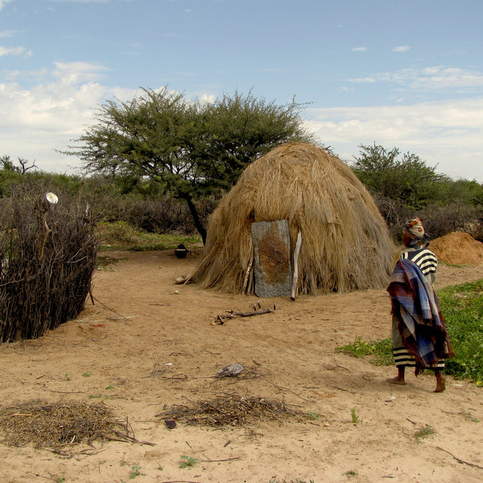 Revolutions of Spirit: Bushman Dance Part One | Bushmen of Bere ...