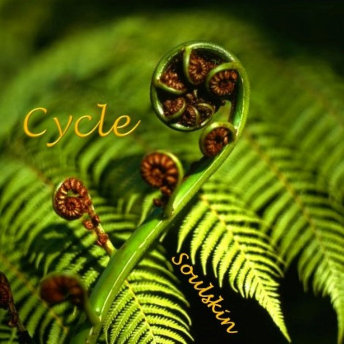 Cycle | Magenta Siren