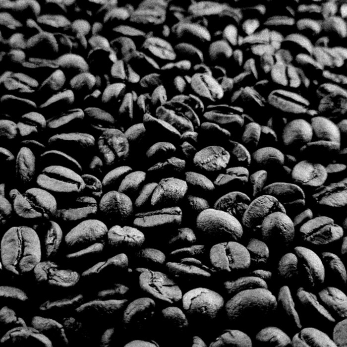 Jenny Said | David Becker