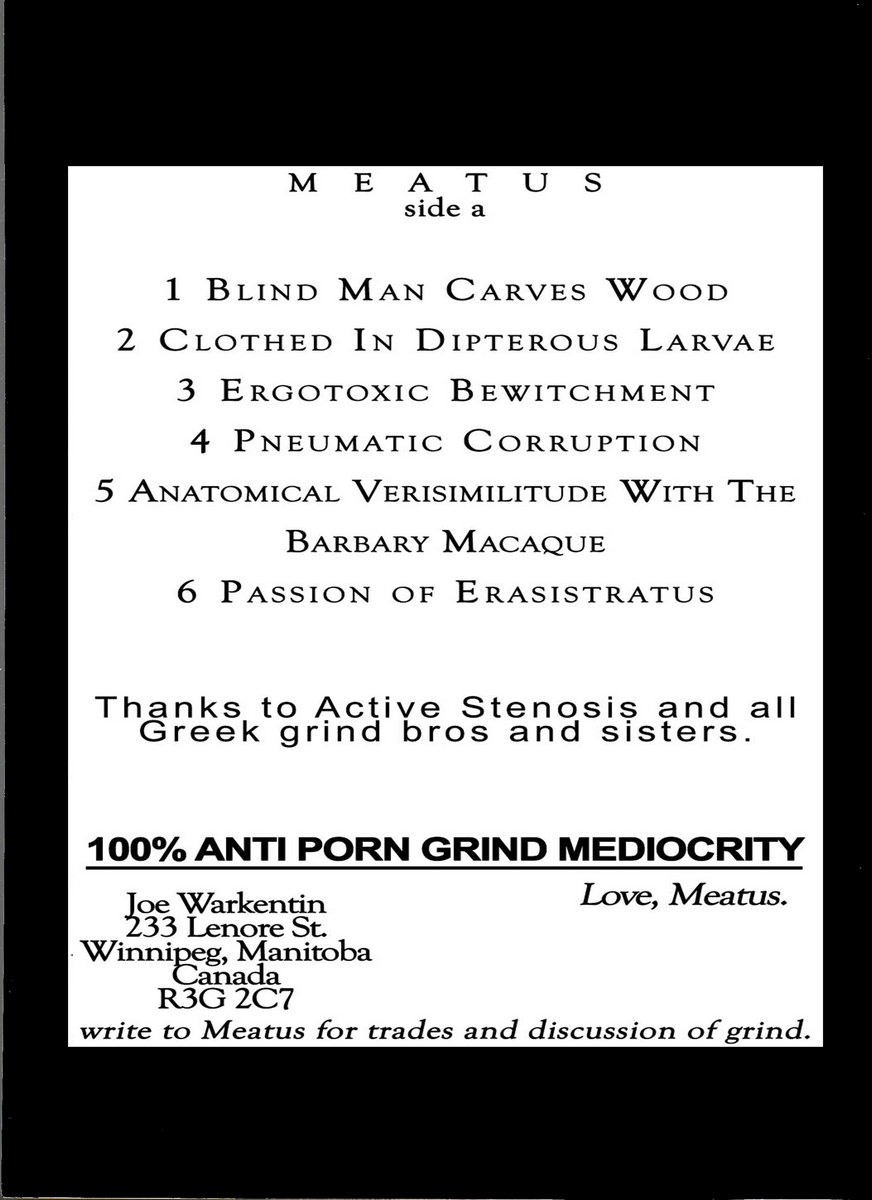 Blind Man Carves Wood | Meatus | Aggressive Valley