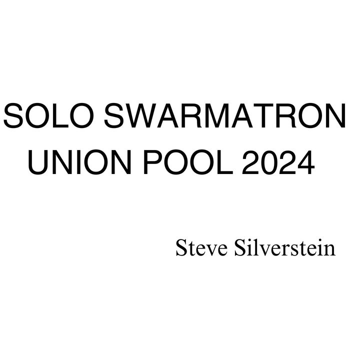 Solo Swarmatron Union Pool 2024 | Steve Silverstein