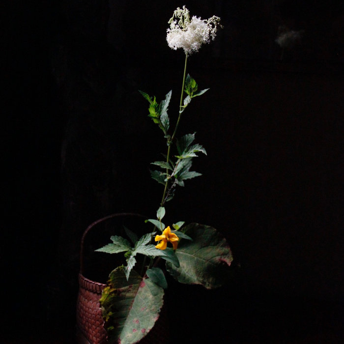 Vesperi | Marco Baldini | Another Timbre