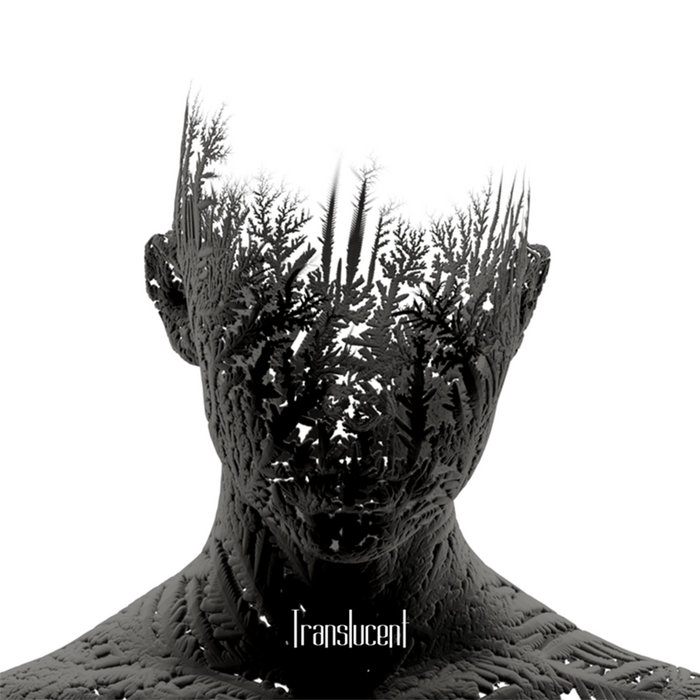 Sollar - Translucent | Raising Legends