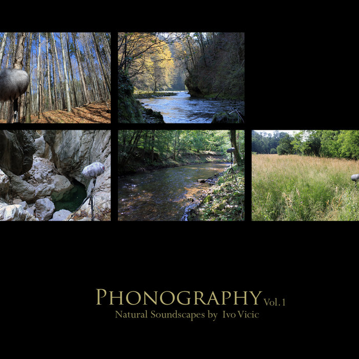 Phonography | Ivo Vicic