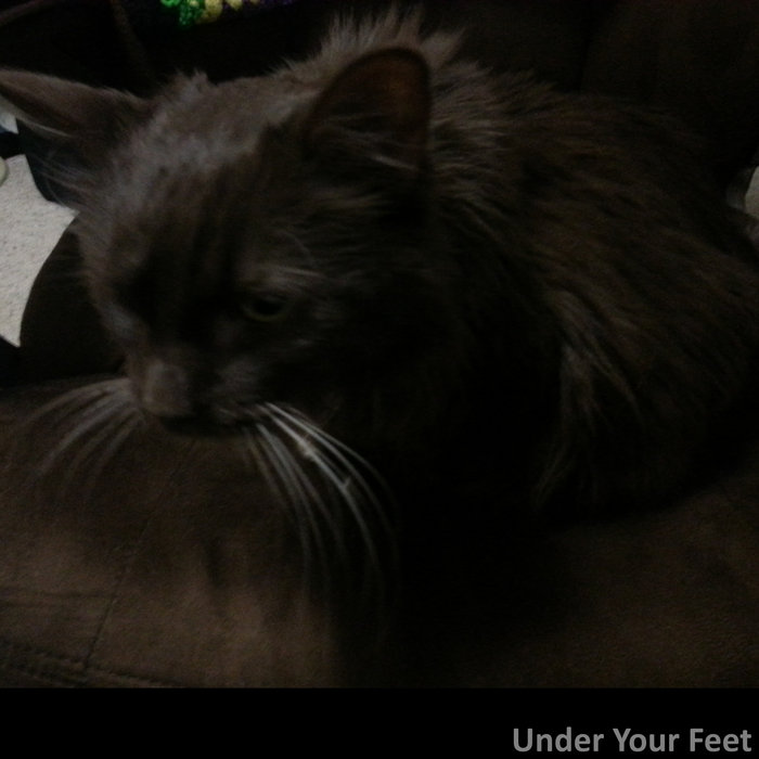 Under Your Feet | Brian Booher