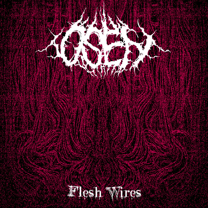 Flesh Wires | Osen | Bloodgrind Records