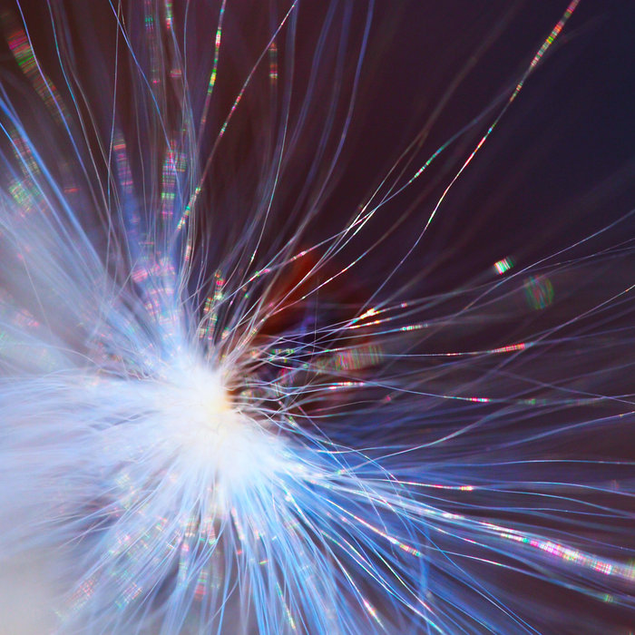 Divine Breathing | Beta Lyra