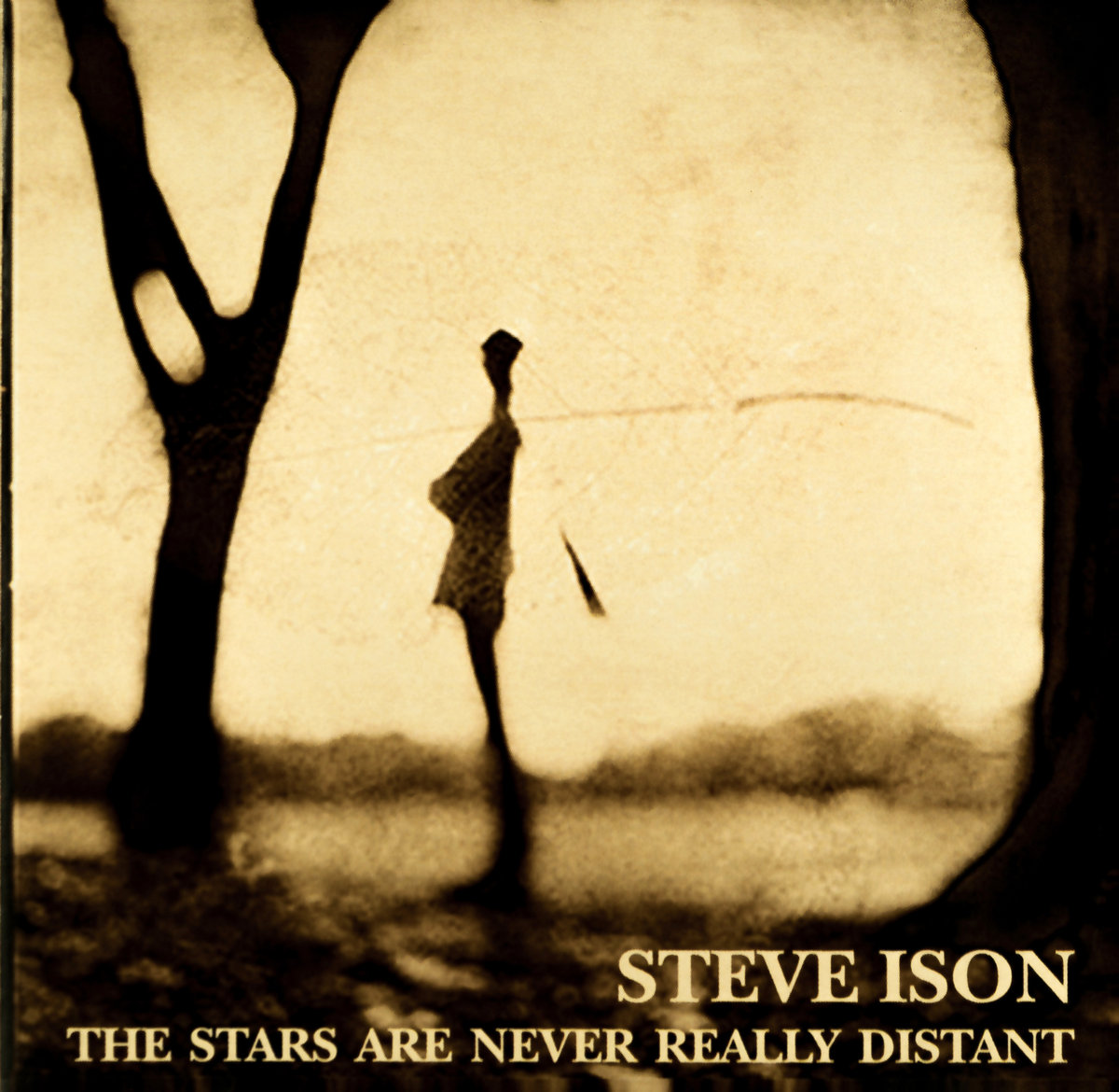 The Stars Are Never Really Distant | Steve Ison