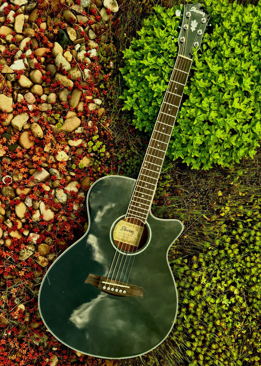 College Covers | Mark Gillott