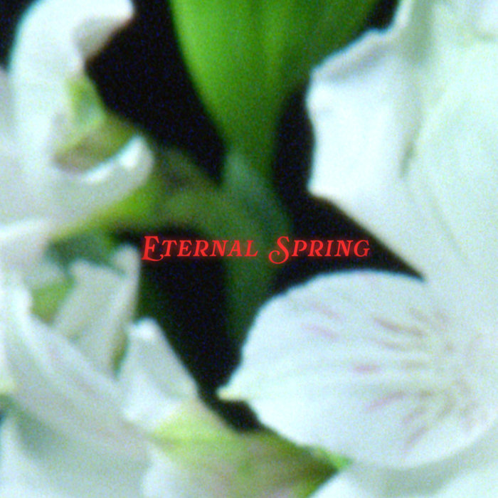 Eternal Spring | Zach Pelham & Mason Palanti