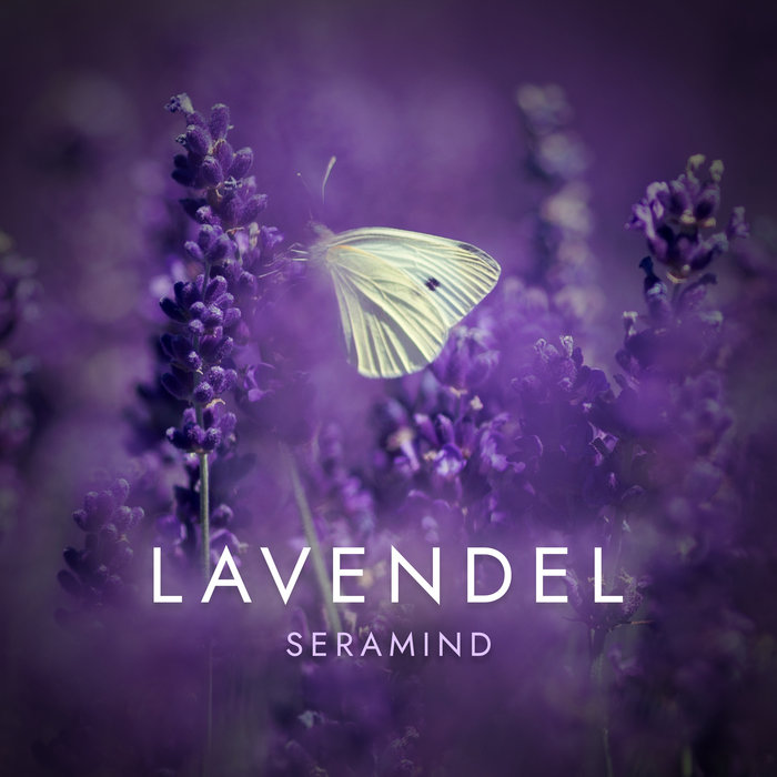Lavendel | Seramind