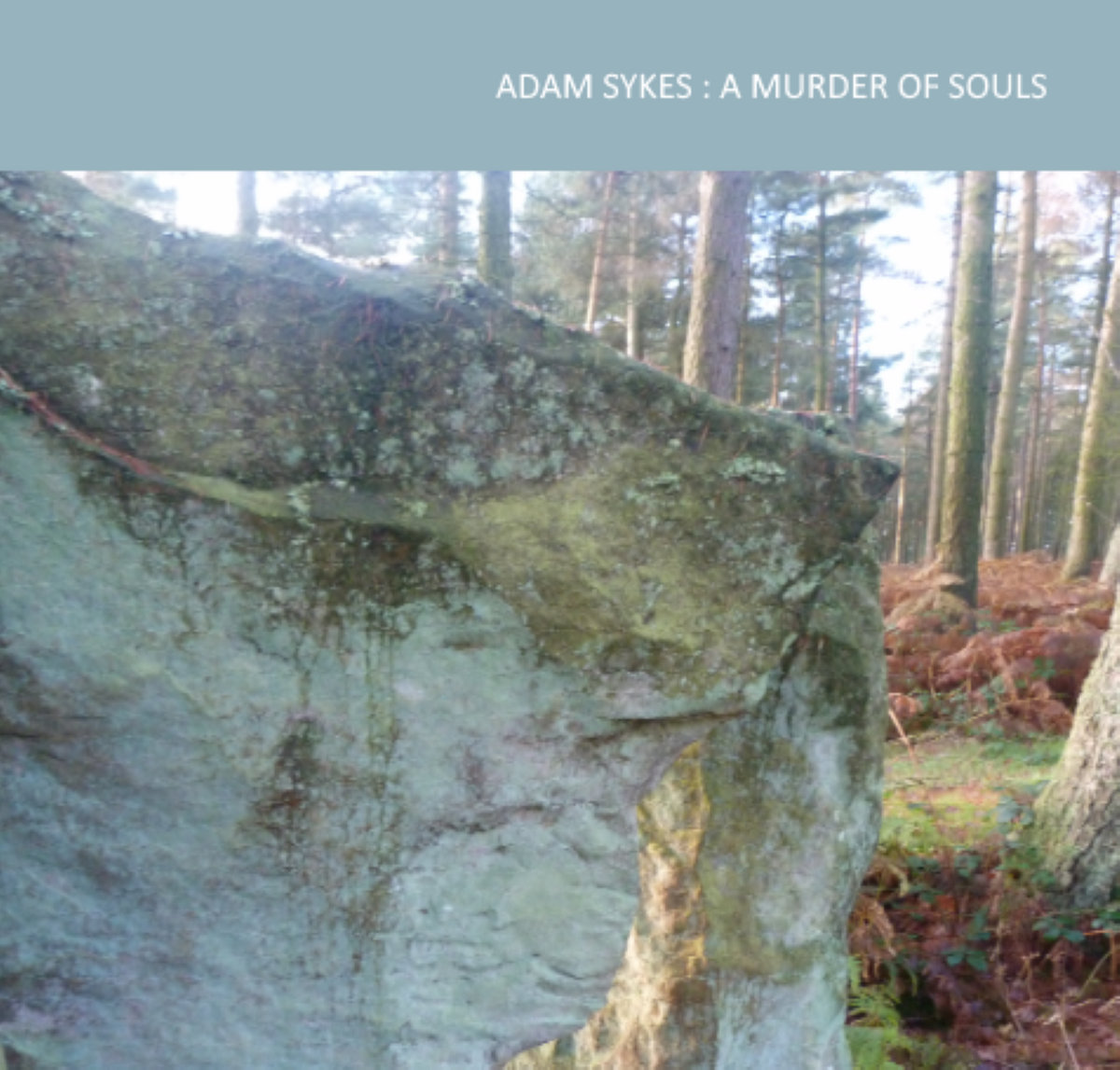 A Murder Of Souls | Adam Sykes | IrisLight