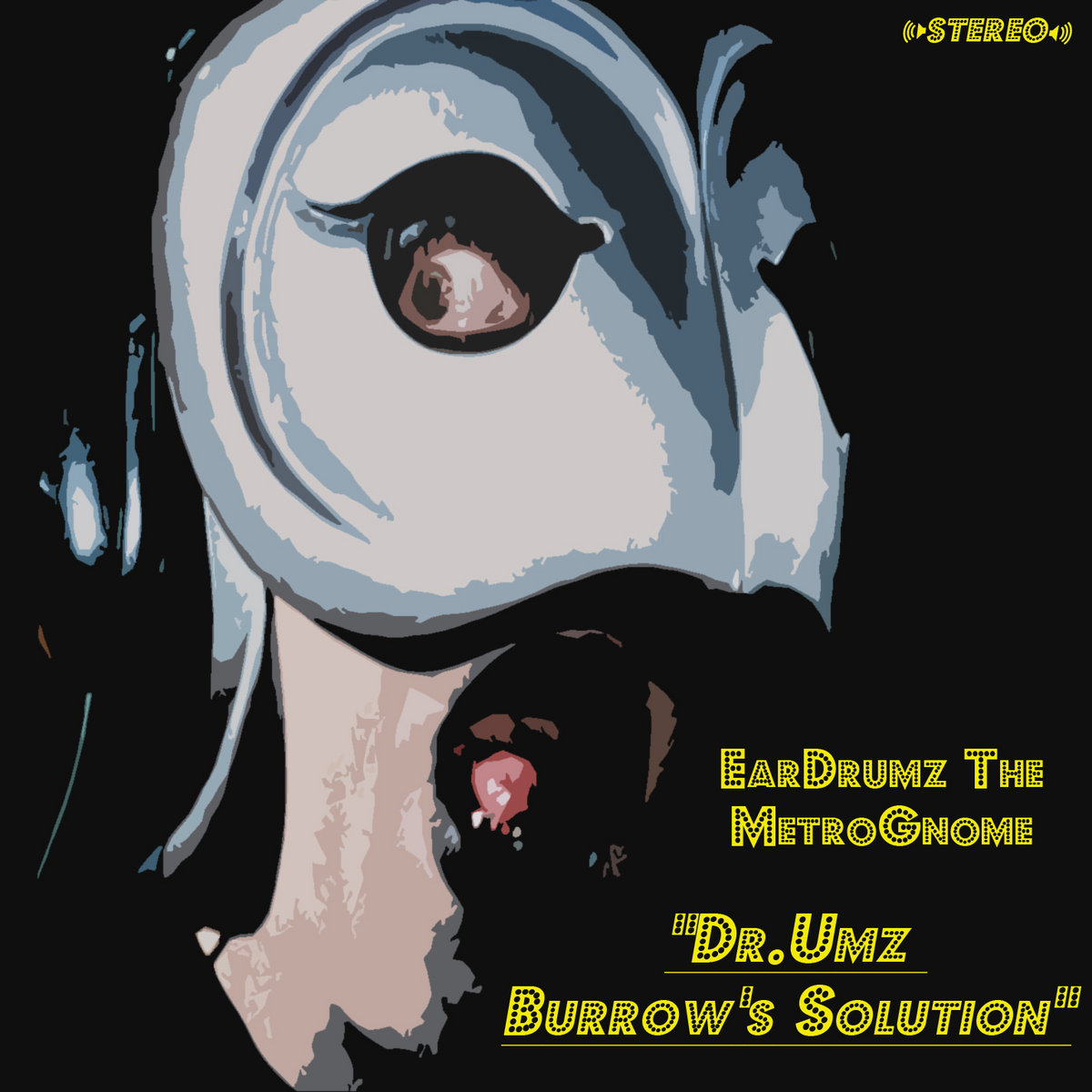 Dr. Umz Burrow's Solution (2009) | Ear Dr. Umz (ear-doctor-Umz)