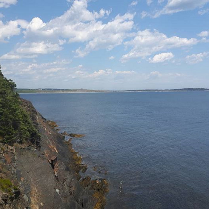 Growing Pains (demo) | James Ramey