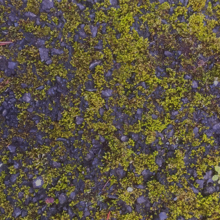 Pex Hill | River Caves