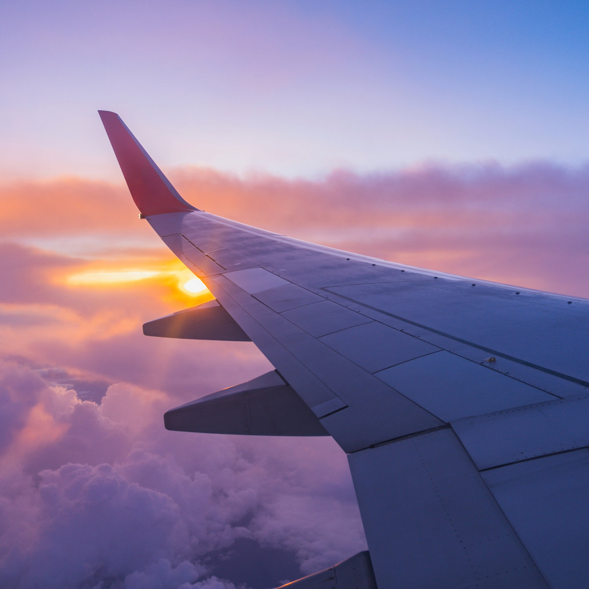 Reunion | Nolan D. Hopkins