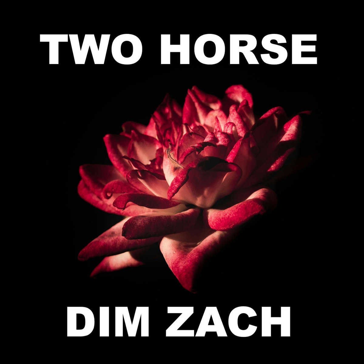 Two Horse (Dim Zach mix) | Dim Zach
