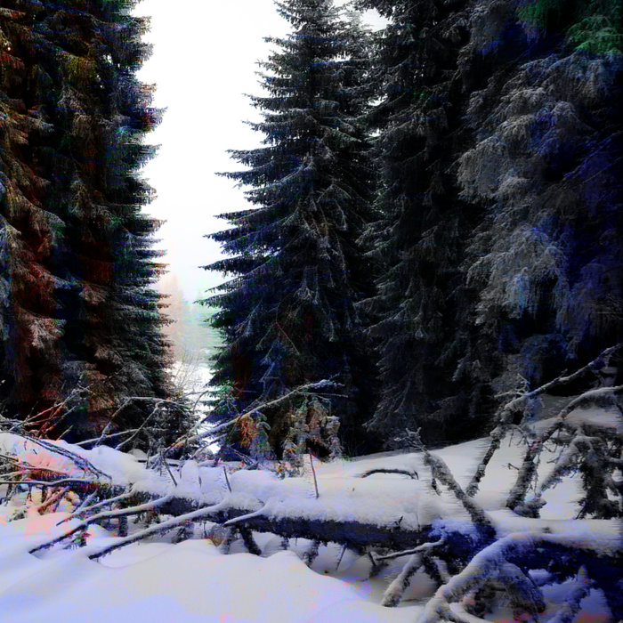 Snowfall EP | Fog Monitor