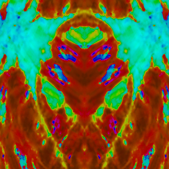 Pith | Jonathan Neal