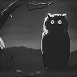 shingebiss | ellsie kay