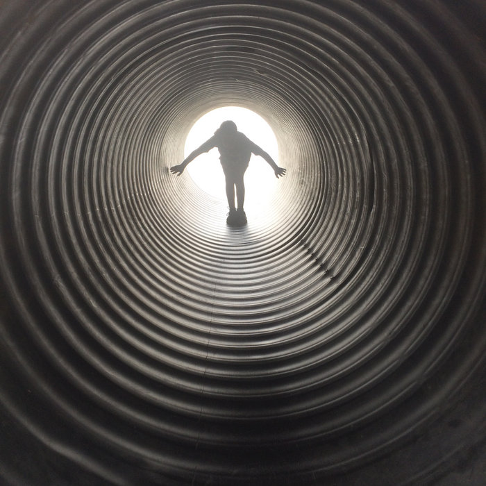 Googleplex | Miniature Poodle Gang