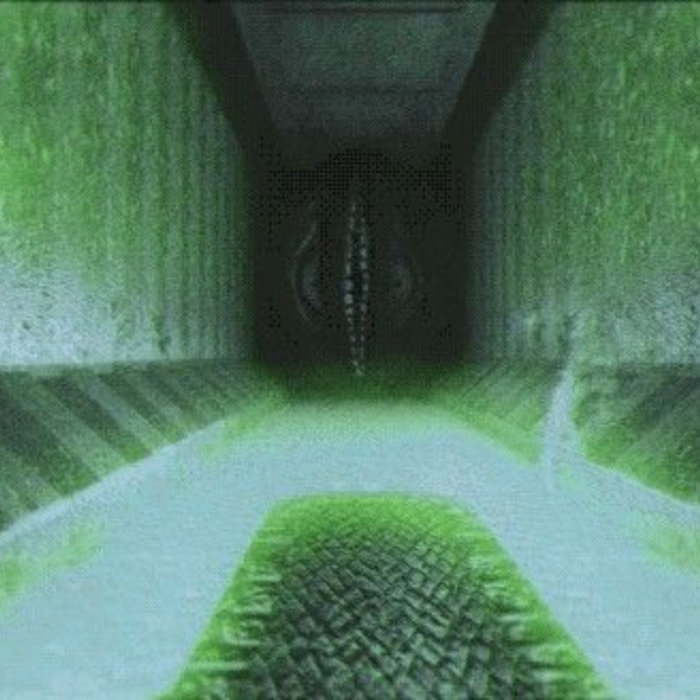 Wave Racer | Yung Lain