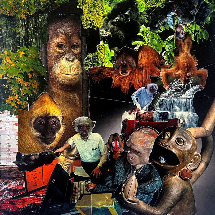 Infinite Monkey Theorem | Oh Well, Ok