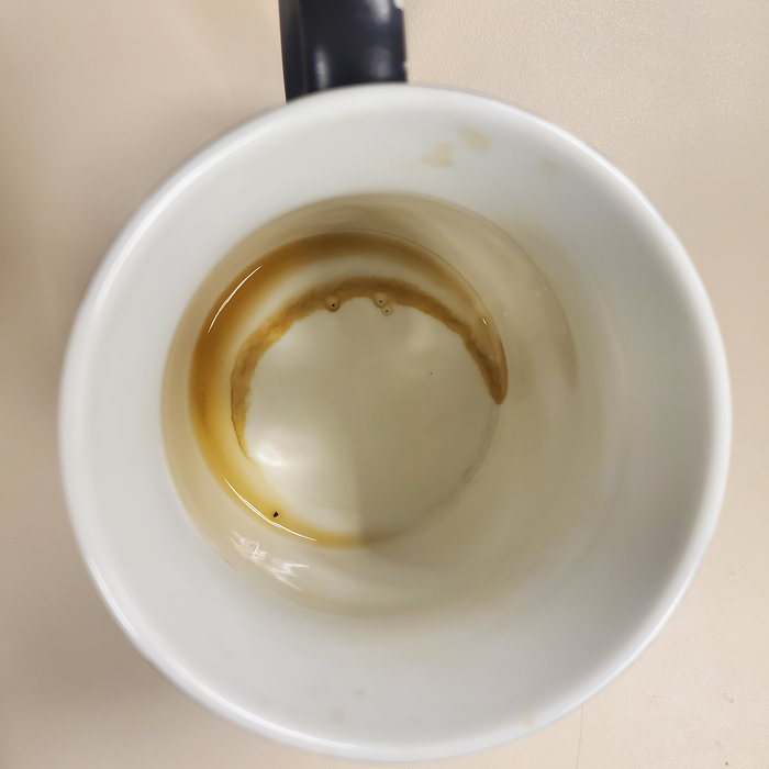 A Moon Shaped Stain | Flying Flies