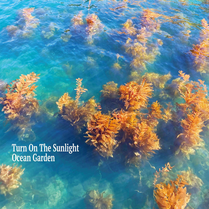 Ocean Garden | Turn On The Sunlight