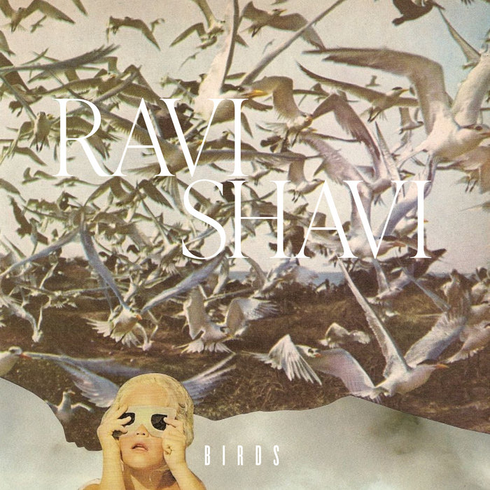 Birds | Ravi Shavi | Almost Ready Records