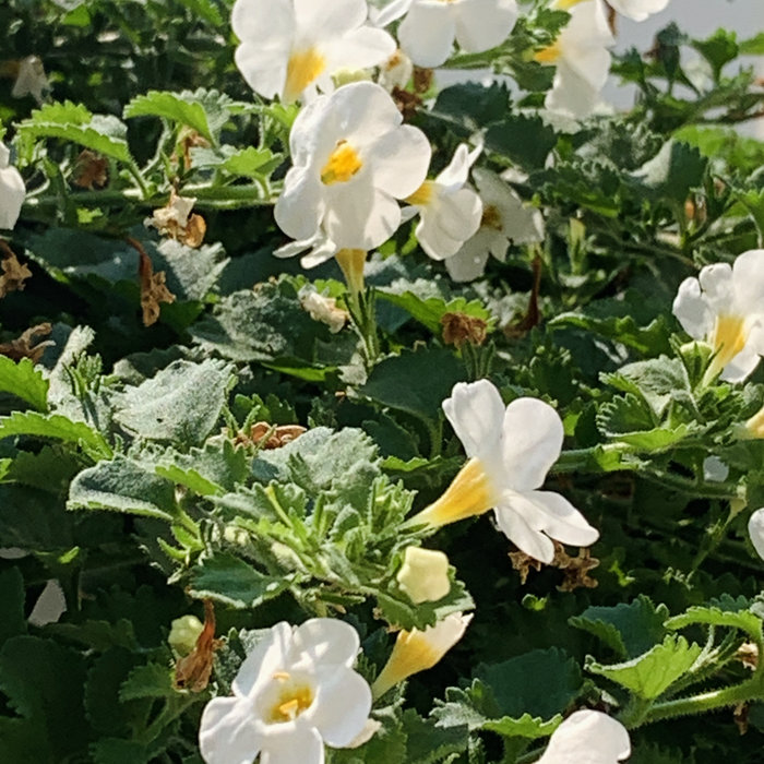 5 variations on an upbeat theme | Beyond the Point of Karen